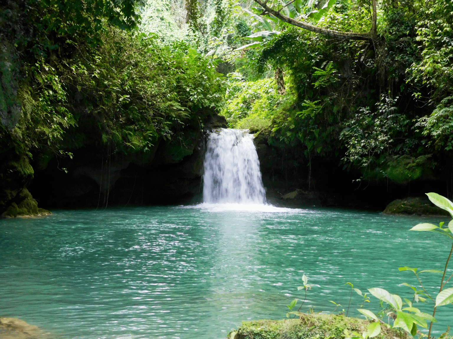Things to do in St. Elizabeth - Showcase Jamaica