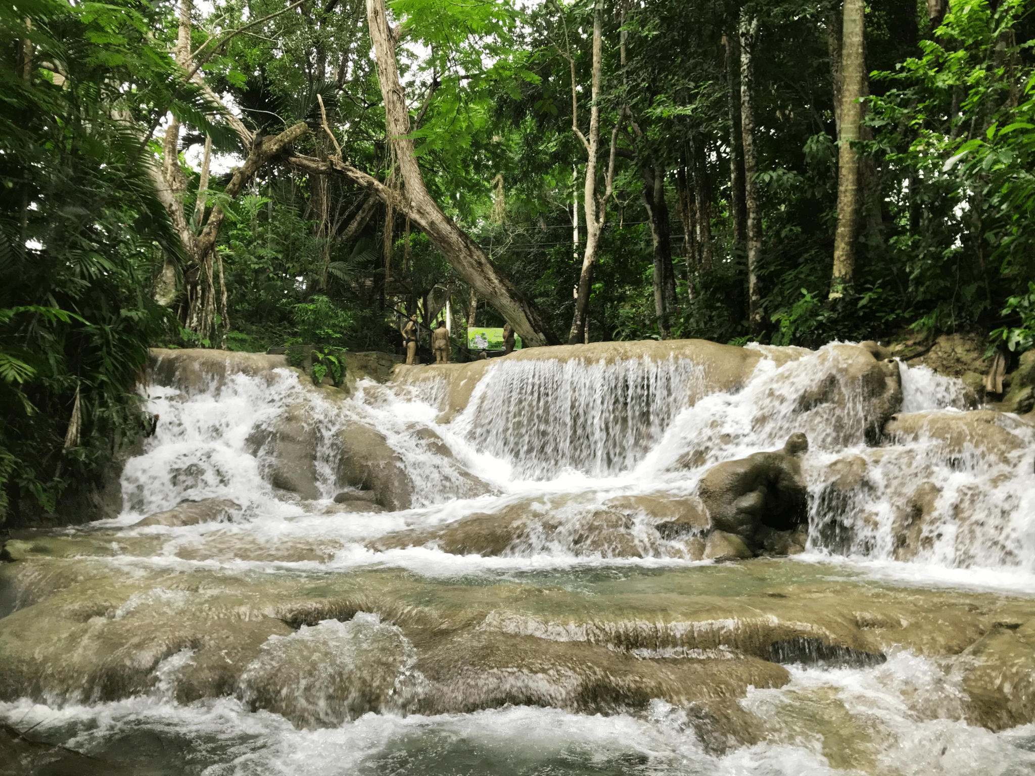 8 of the Best Rivers in Jamaica - Showcase Jamaica