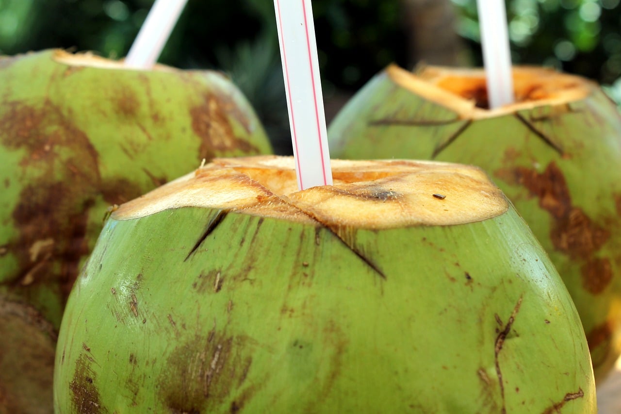 5 Uses of Coconut - Showcase Jamaica