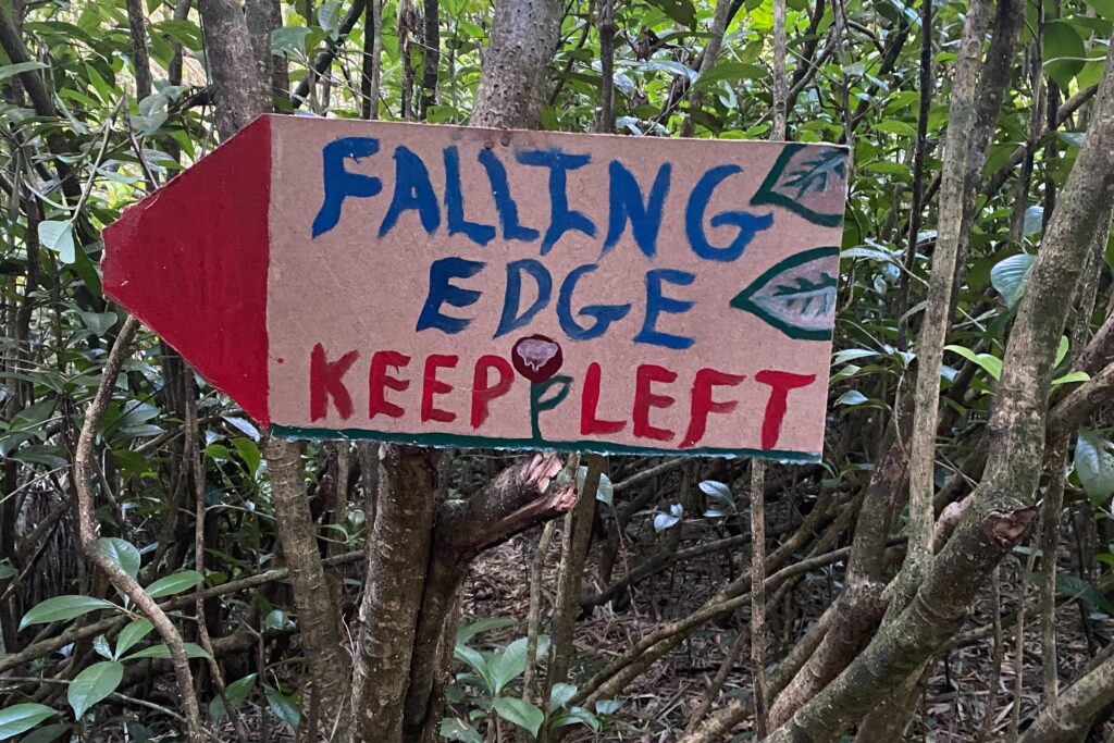Hiking to Falling Edge Waterfalls - Showcase Jamaica