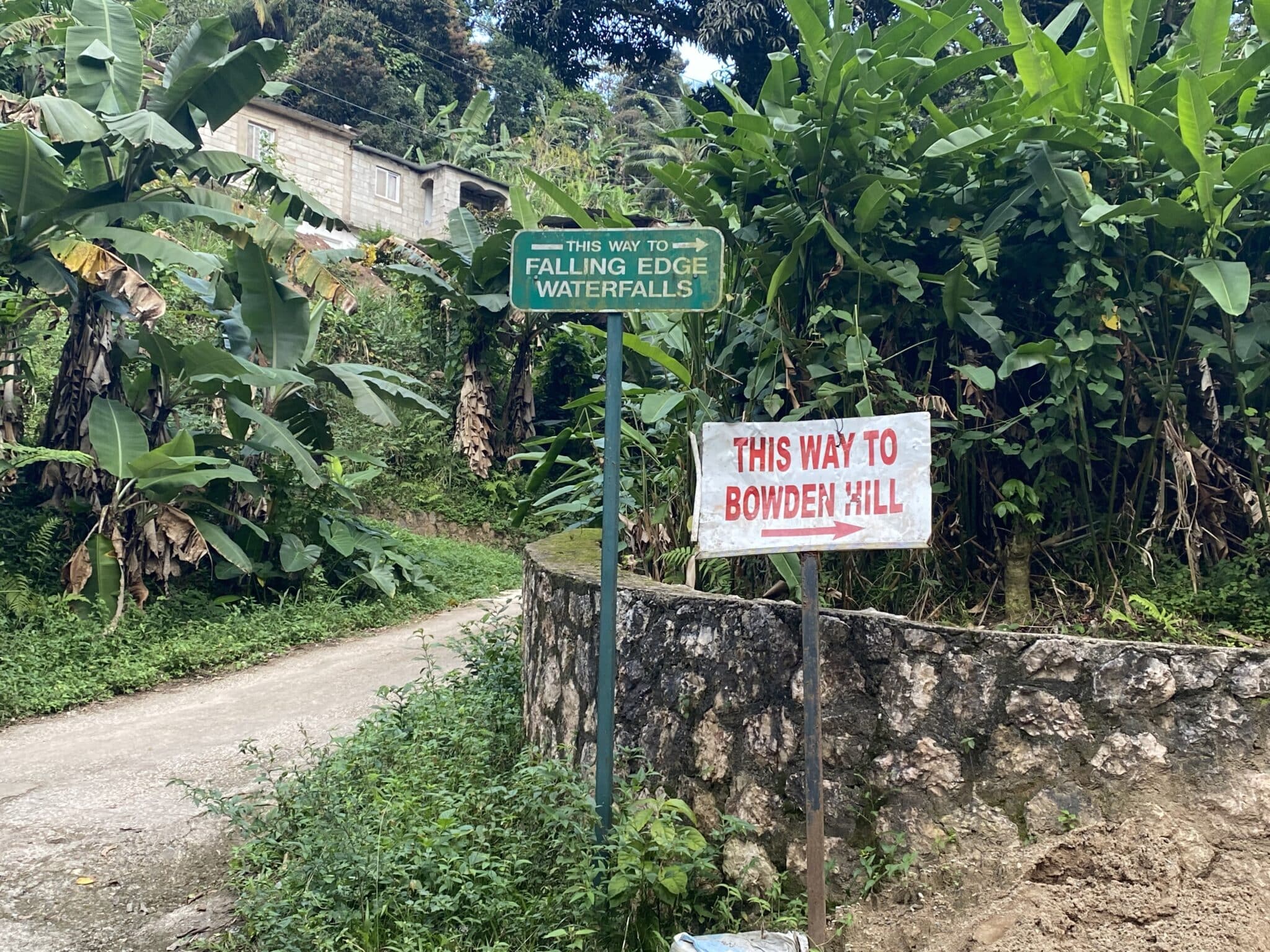 Hiking to Falling Edge Waterfalls - Showcase Jamaica