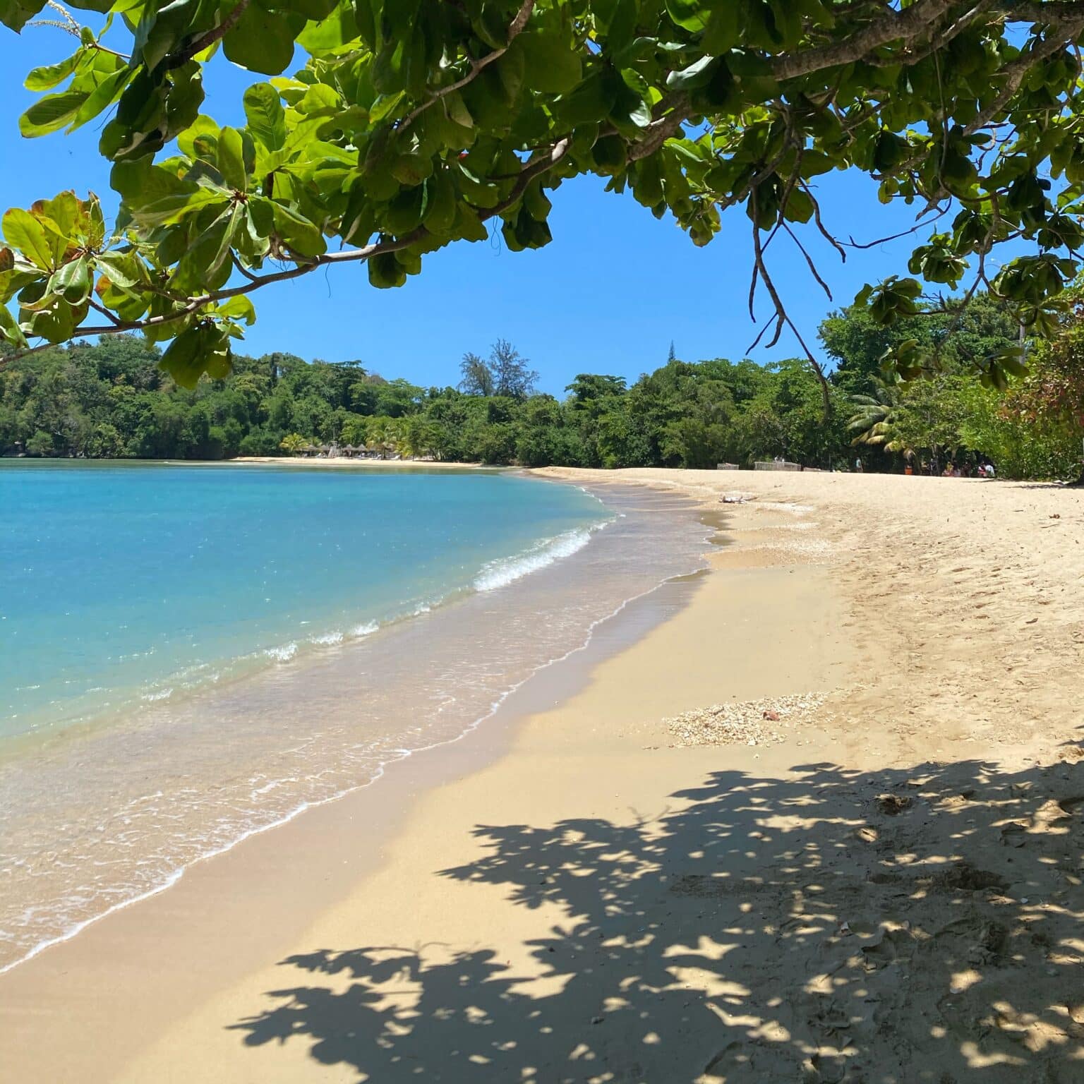 Discover Paradise: Your Ultimate Guide to Ocho Rios’ Breathtaking ...