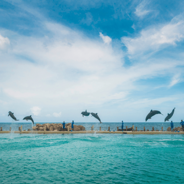 Unlocking Ocho Rios: Your Ultimate To-Do List - Showcase Jamaica