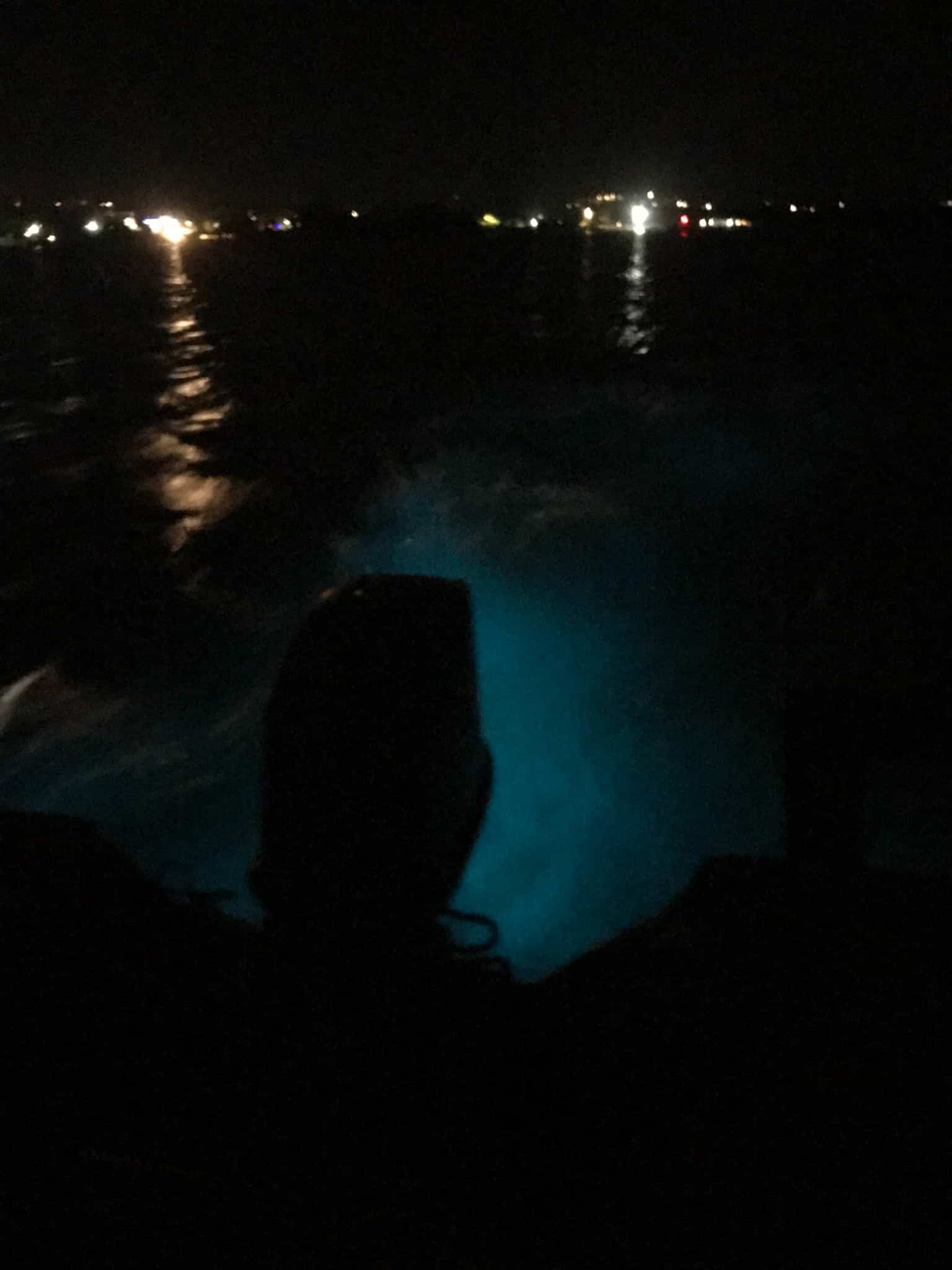 Luminous Lagoon Jamaica: Where the Water Lights Up at Night - Showcase ...